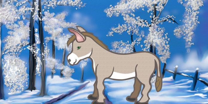 Mi burrito sabanero, villancico para cantar en Navidad