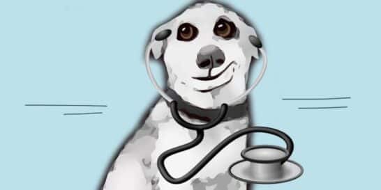 El doctor perro, una leyenda de China sobre una dinastía