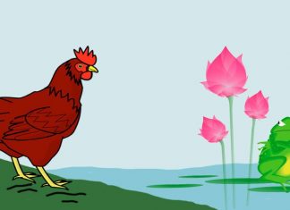 Fábulas para adultos Archives - Tu cuento favorito