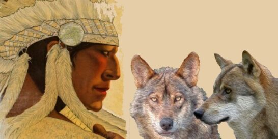 Los dos lobos que luchan, una genial leyenda cherokee
