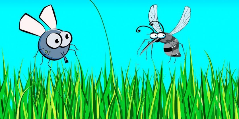 Cerdito, mosquito y chivito, una poesía de Gloria Fuertes