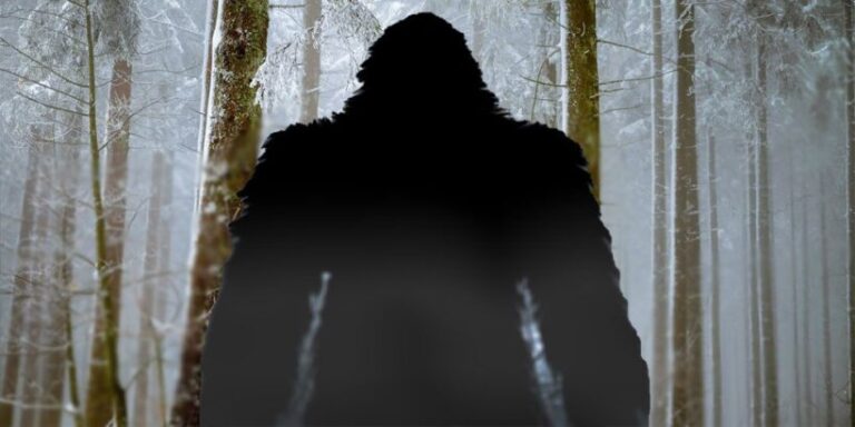 Pie grande o Bigfoot, leyenda, versiones y explicaciones