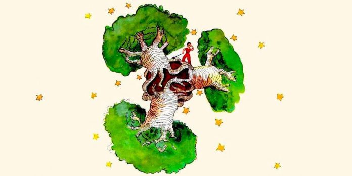 El Principito y la rosa. Cuento para niños y mayores sobre el amor