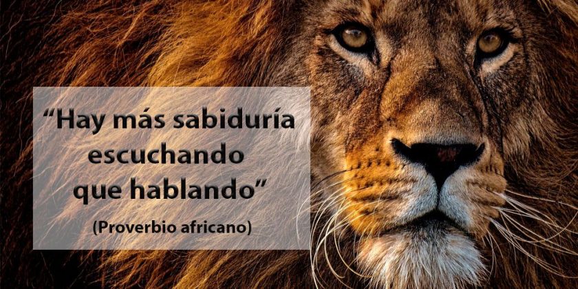 35 proverbios africanos impactantes con sus explicaciones