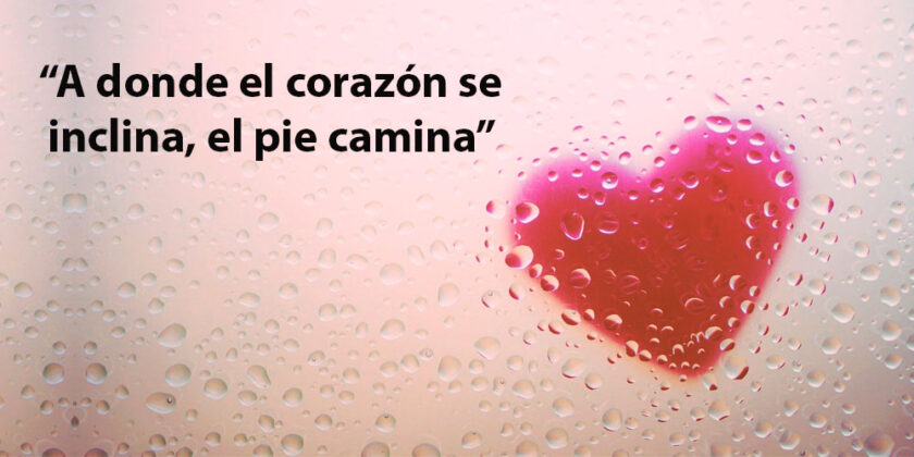 30 proverbios sobre el amor hermosos con sus reflexiones ️