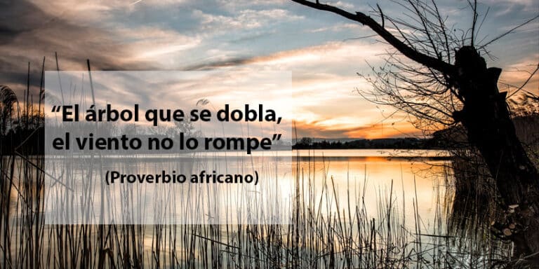 35 proverbios africanos impactantes con sus explicaciones