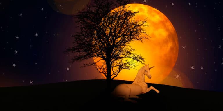 9 animales fantásticos y los seres mágicos más populares